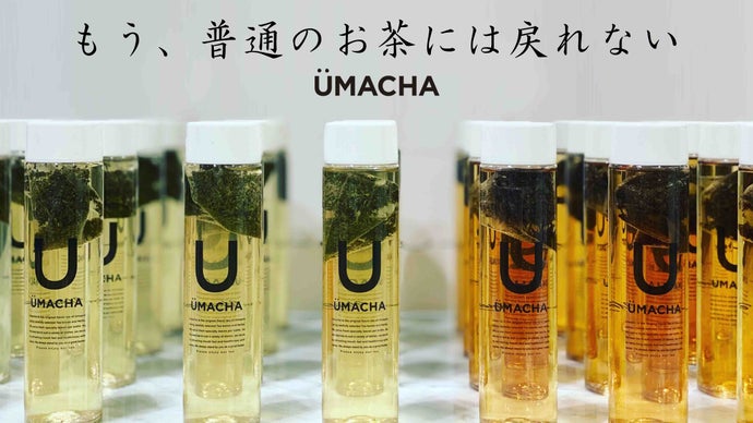 台湾で厳選した本物のお茶【UMACHA】を全国の方へお届けしたい！｜マクアケ - アタラシイものや体験の応援購入サービス