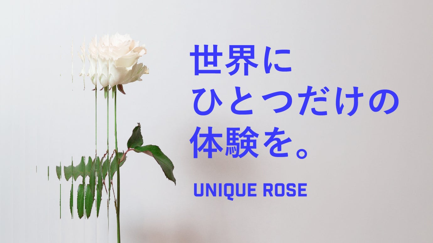 【世界にひとつだけの体験】試験栽培の過程で生まれた希少なバラの購入会員権募集開始｜マクアケ - アタラシイものや体験の応援購入サービス