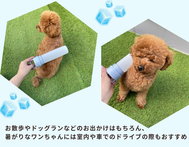 ＜氷をキンキンで持ち運ぶ！＞冷やせる！飲める！STICOL 2in1BOTTLE｜マクアケ - アタラシイものや体験の応援購入サービス