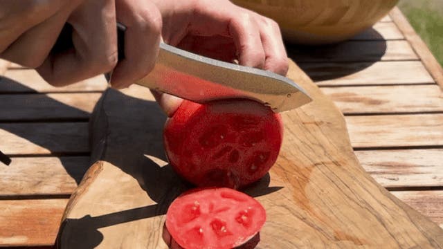 「絶妙カーブ」で食材カットがリズミカルに！FEDECAブッシュクラフトナイフ｜マクアケ - アタラシイものや体験の応援購入サービス