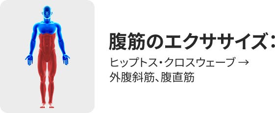 初心者も上級者も、選べるレベルで理想のカラダへ。おうちがジムになるZ-ROPE+｜マクアケ - アタラシイものや体験の応援購入サービス